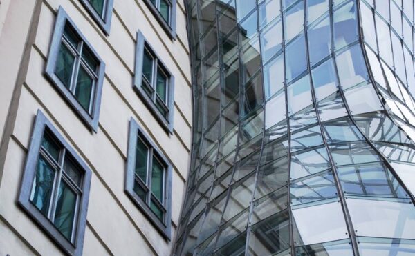 Cosmic Tint – Professional Tinting